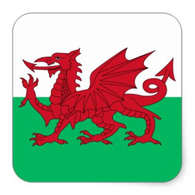 Welsh Gifts / Anrhegion – Paned.Cymru